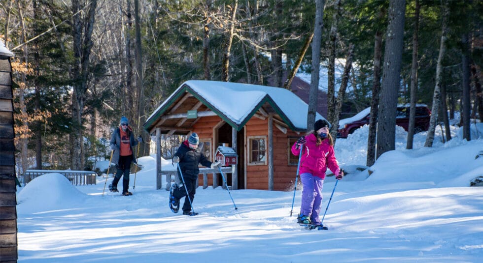 Pine Tree Camp