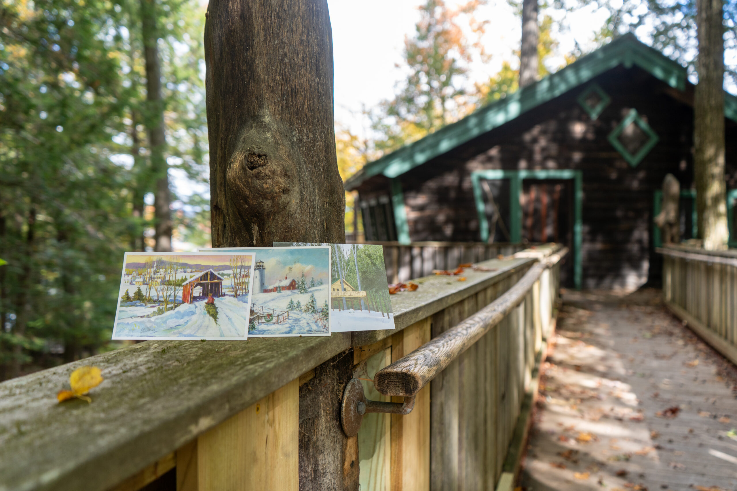 Pine Tree Society seeking submissions from artists for fundraiser